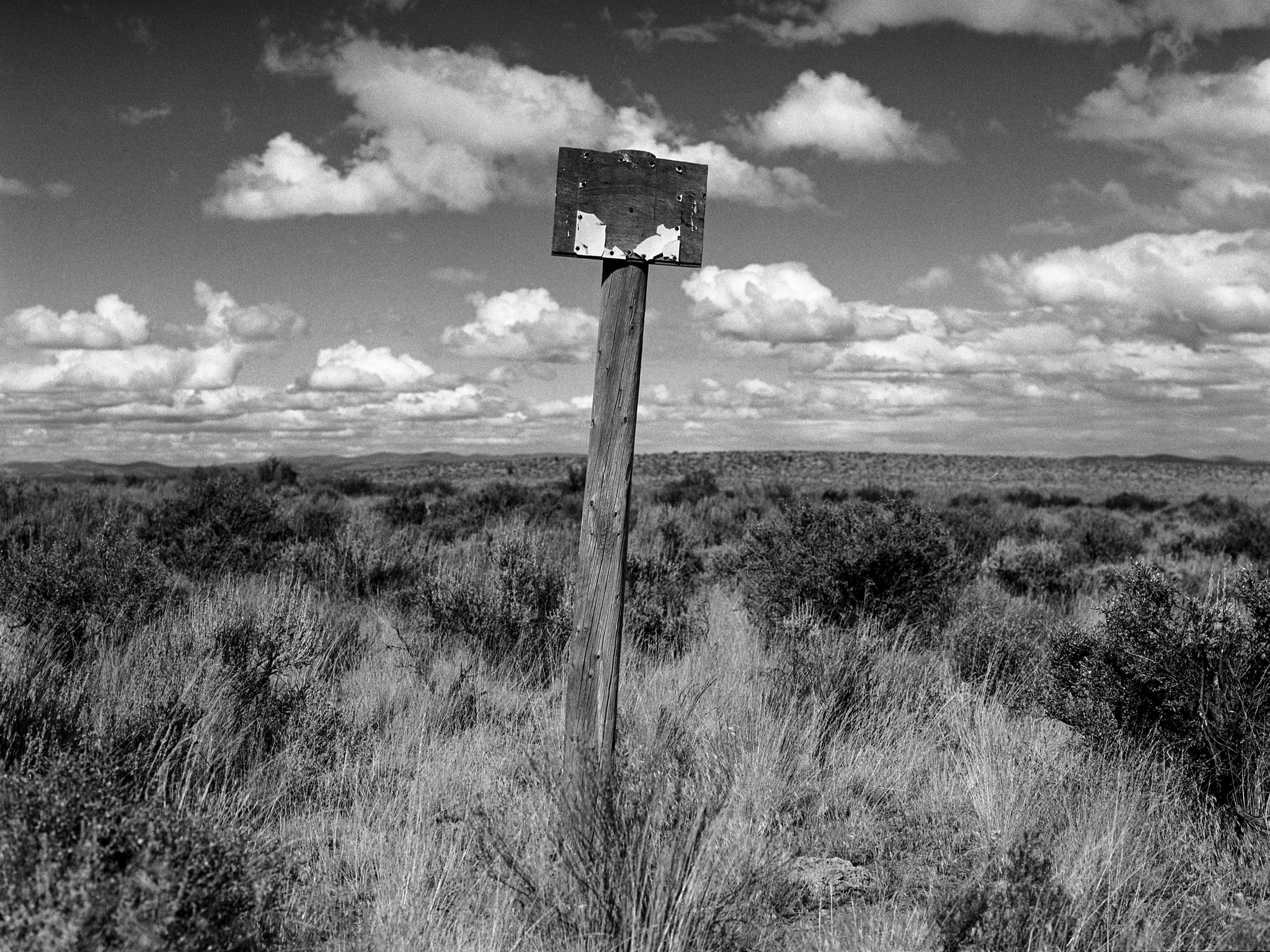 eastern oregon, august 2020. – Steven Lawrence Pictures